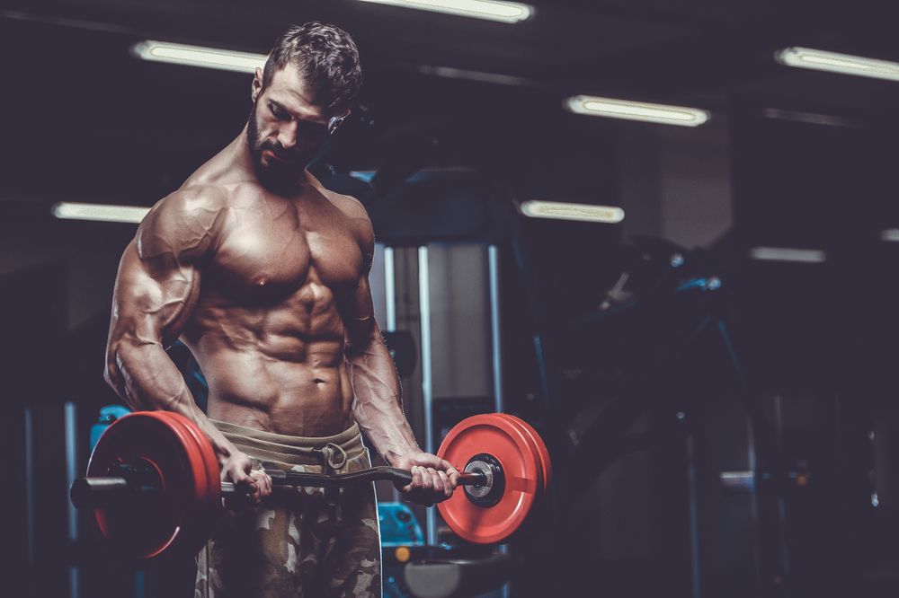 6 Bodybuilding Tips For Beginners | HealthAccess.com